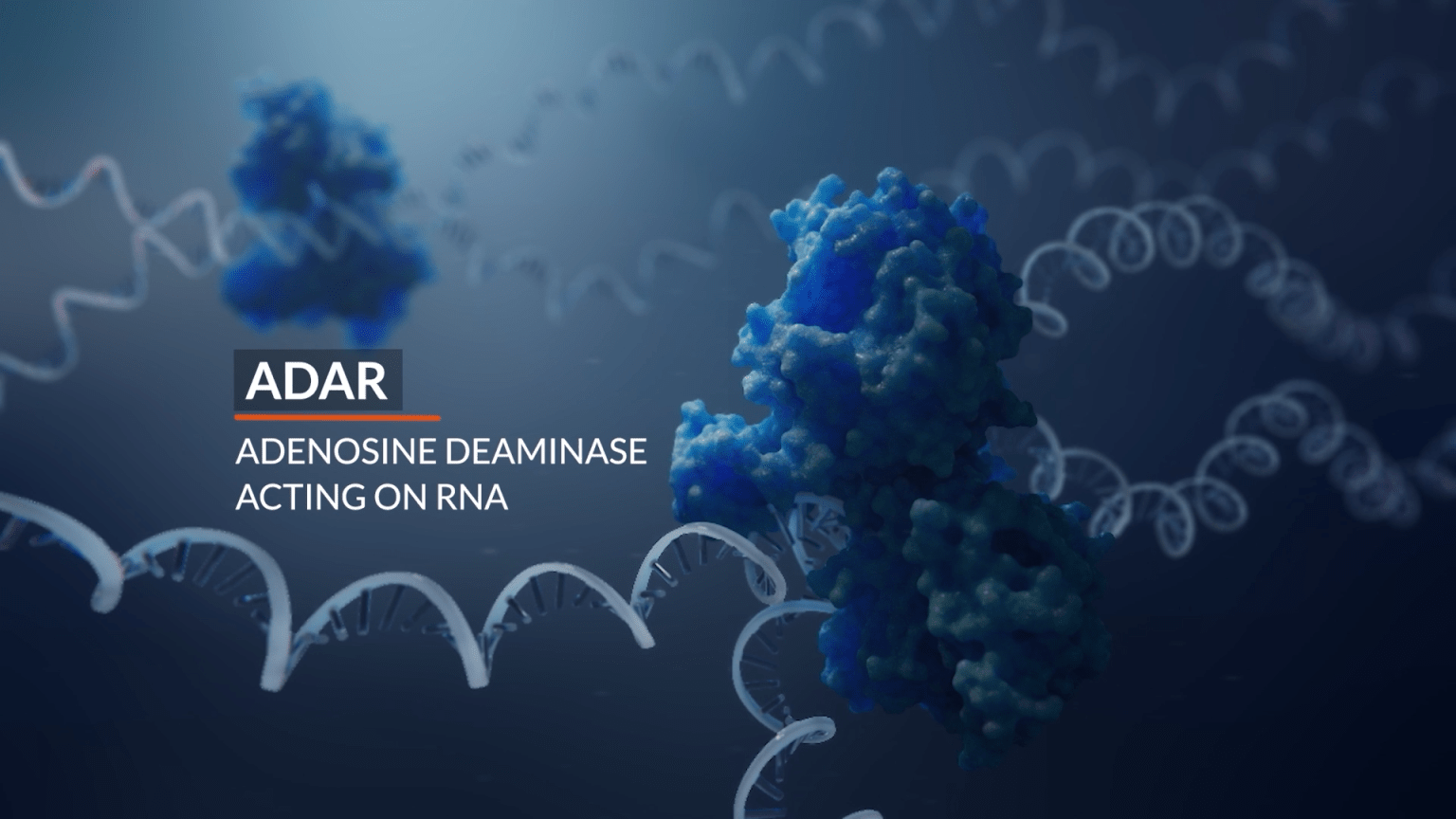 Revolutionizing RNA Editing Awareness: XVIVO's Medical Animation for ...