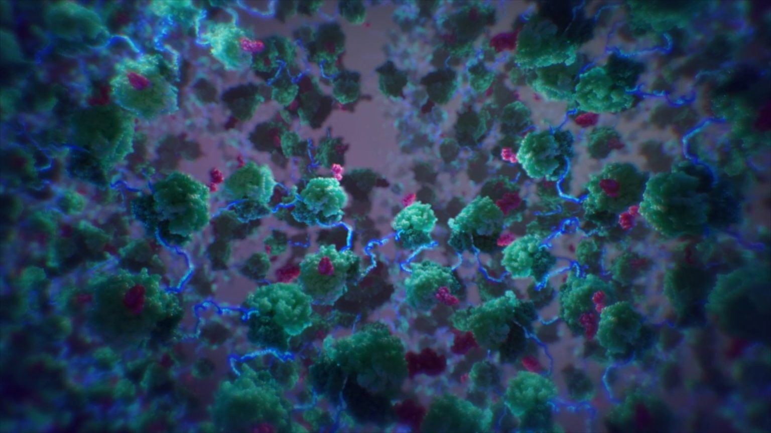 mRNAs as Medicines Animation - XVIVO