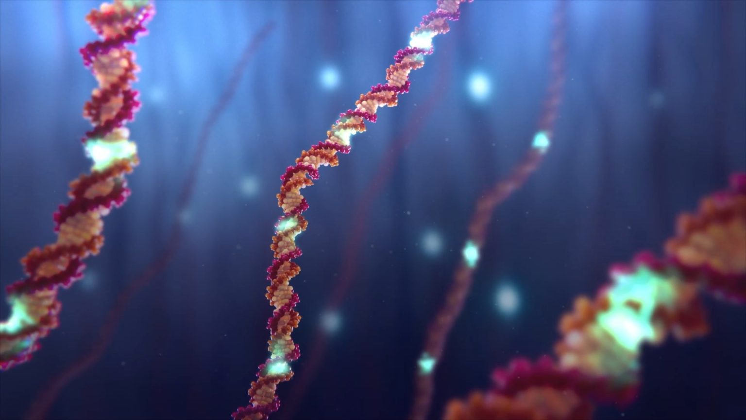 mRNAs as Medicines Animation - XVIVO